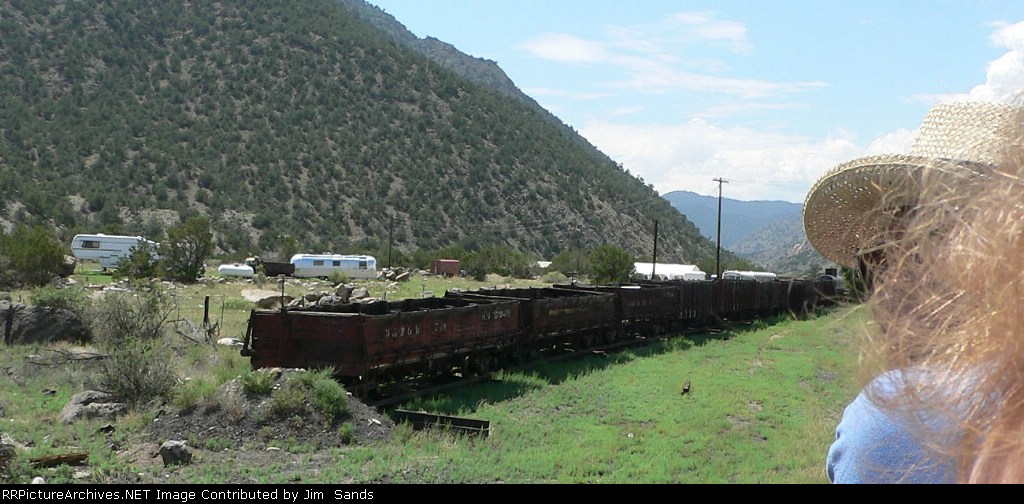 A string of D&RGW Gons